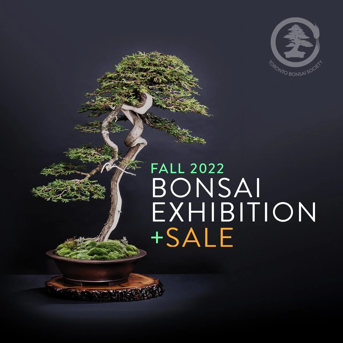 2022 FALL EXHIBITION & SALE — Toronto Bonsai Society