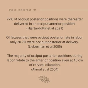 On OP Babies and "Optimal Fetal Positioning" — Jessica Medrea Birth