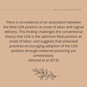 On OP Babies and "Optimal Fetal Positioning" — Jessica Medrea Birth
