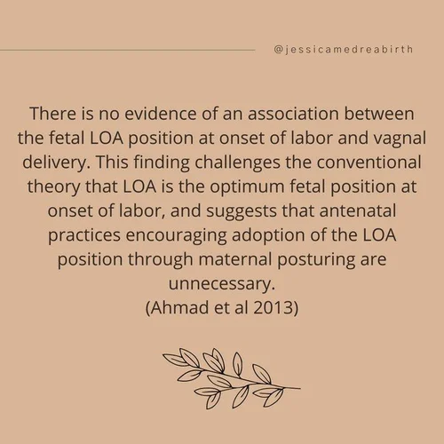 On OP Babies and "Optimal Fetal Positioning" — Jessica Medrea Birth