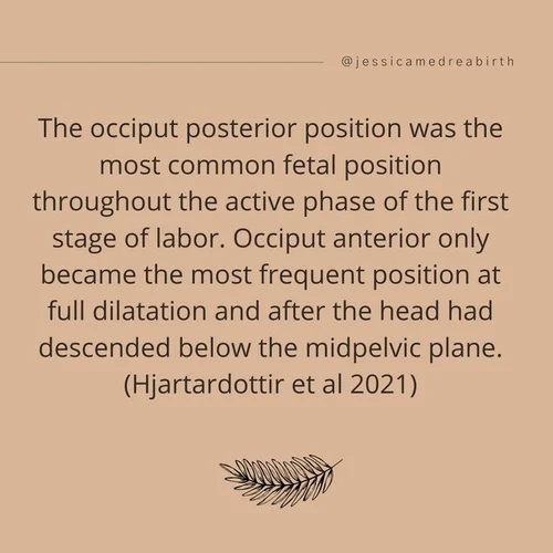 On OP Babies and "Optimal Fetal Positioning" — Jessica Medrea Birth