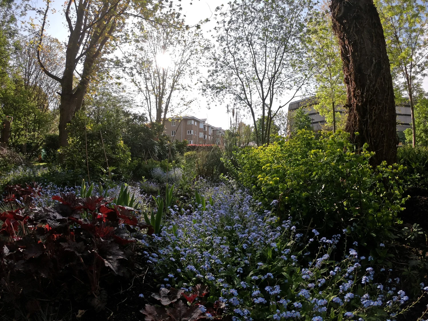 Location — Kew Riverside Park
