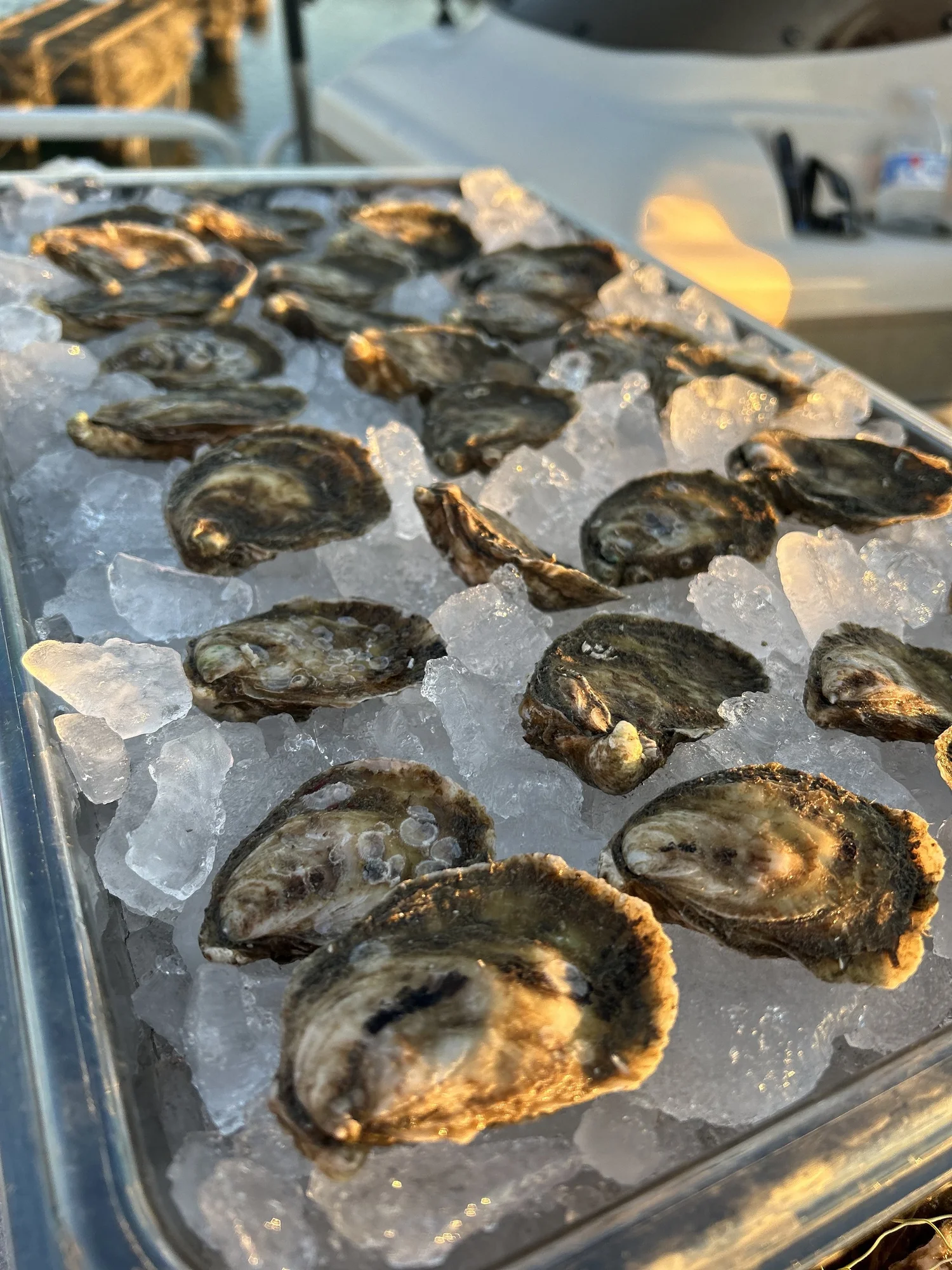 Store 1 — Ghost Fleet Oyster Co.