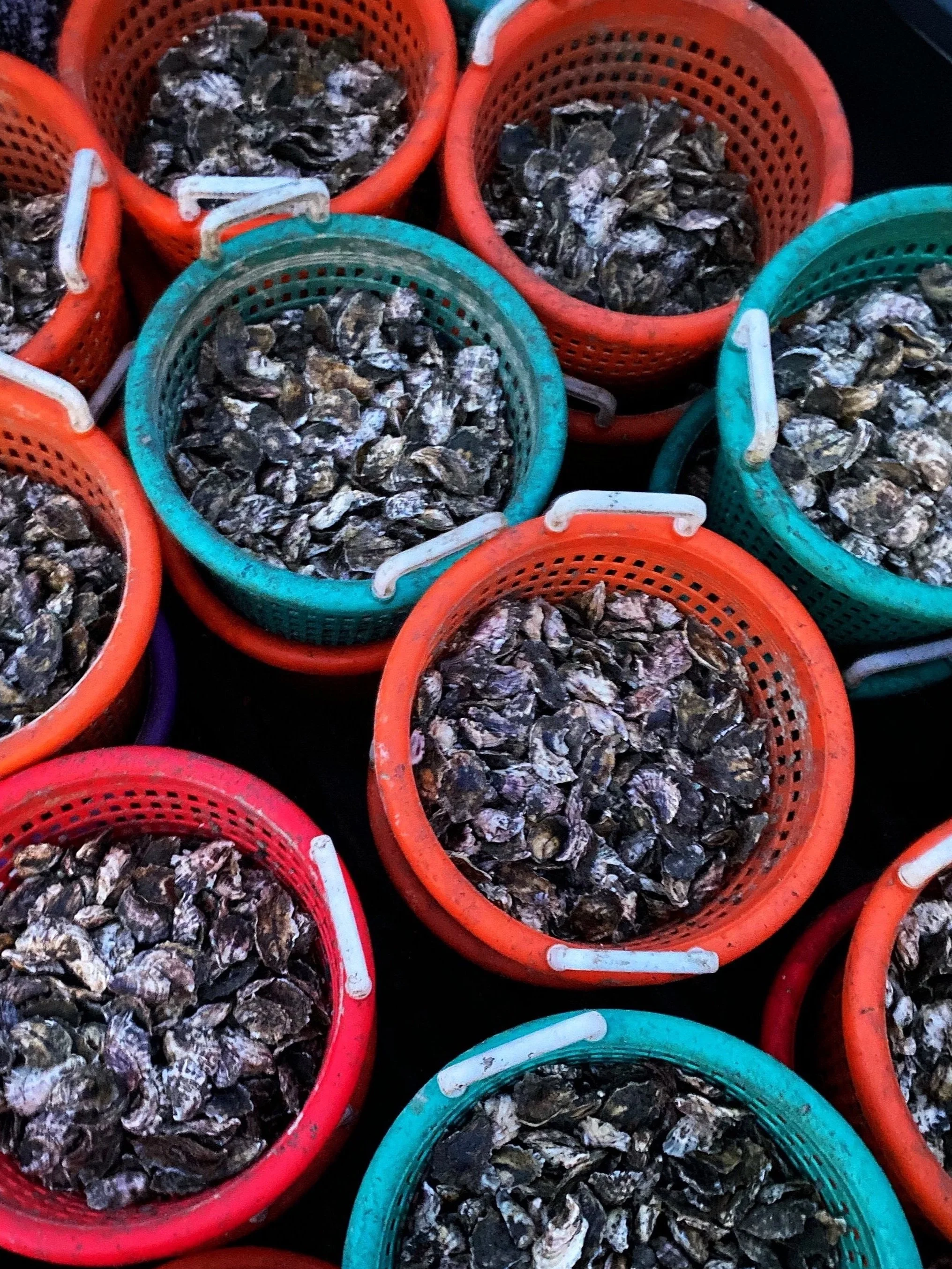 Our Story — Ghost Fleet Oyster Co.