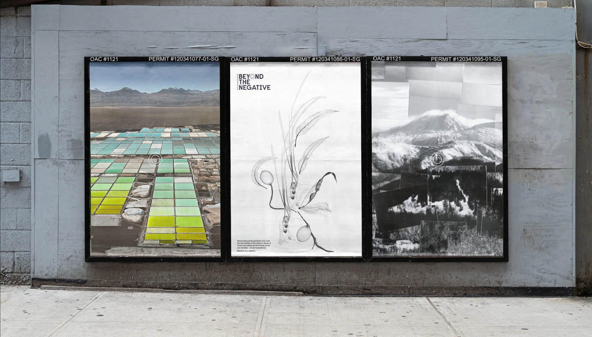 Beyond The Negative — fred trevor design