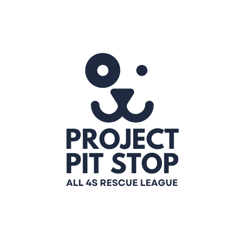 PROJECT PIT STOP — All 4s Rescue League