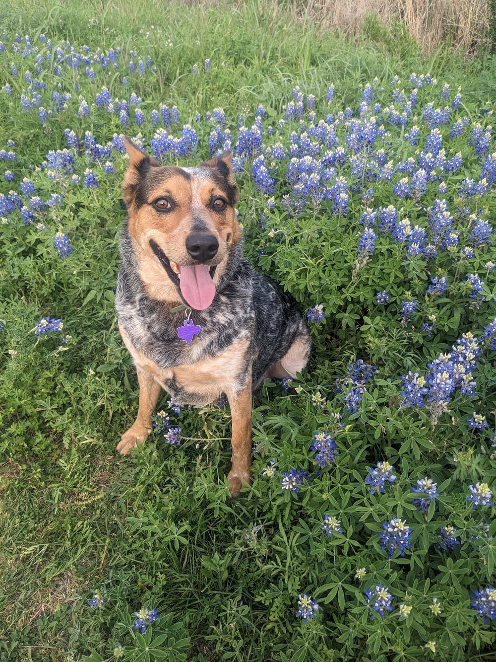 Staff Spotlight: Madison Knapp — Austin Creative Reuse