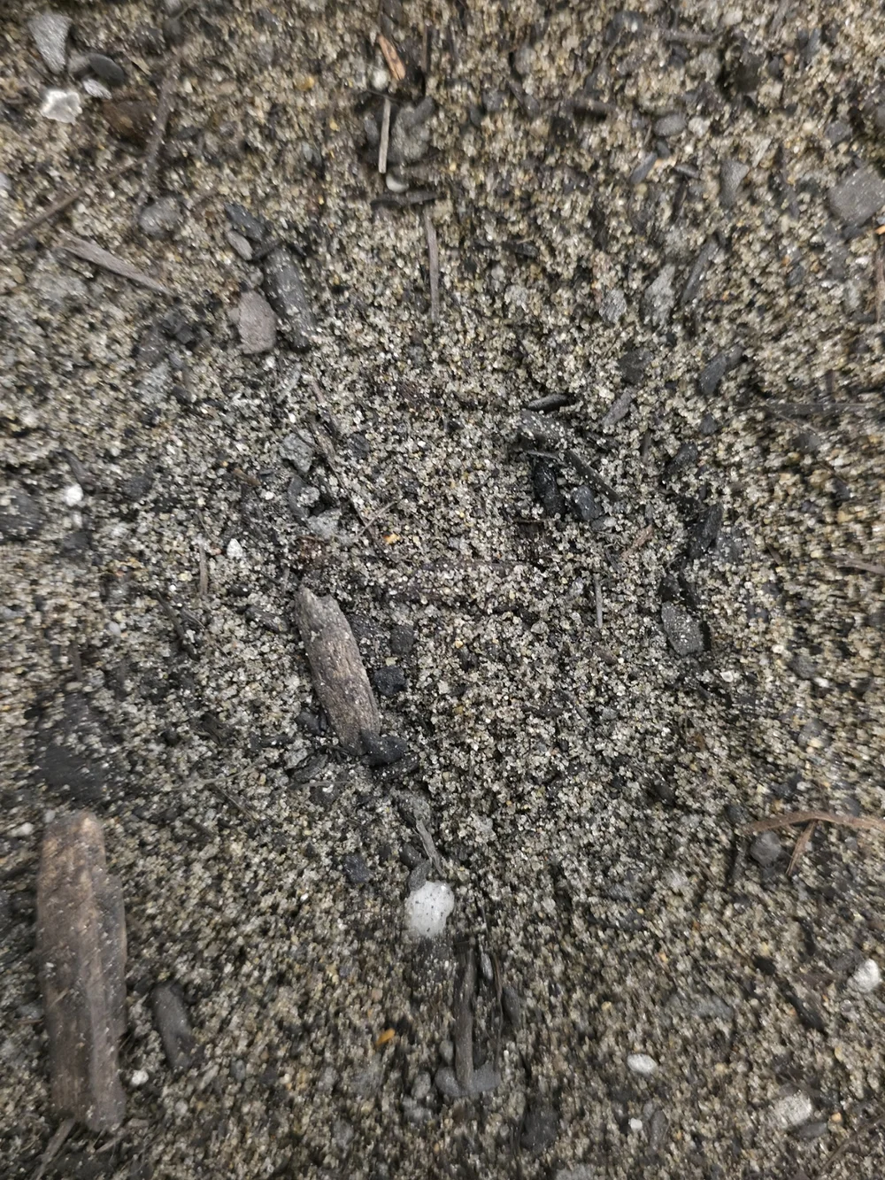 APSU Soil™ – Organic Biome-Based Soils