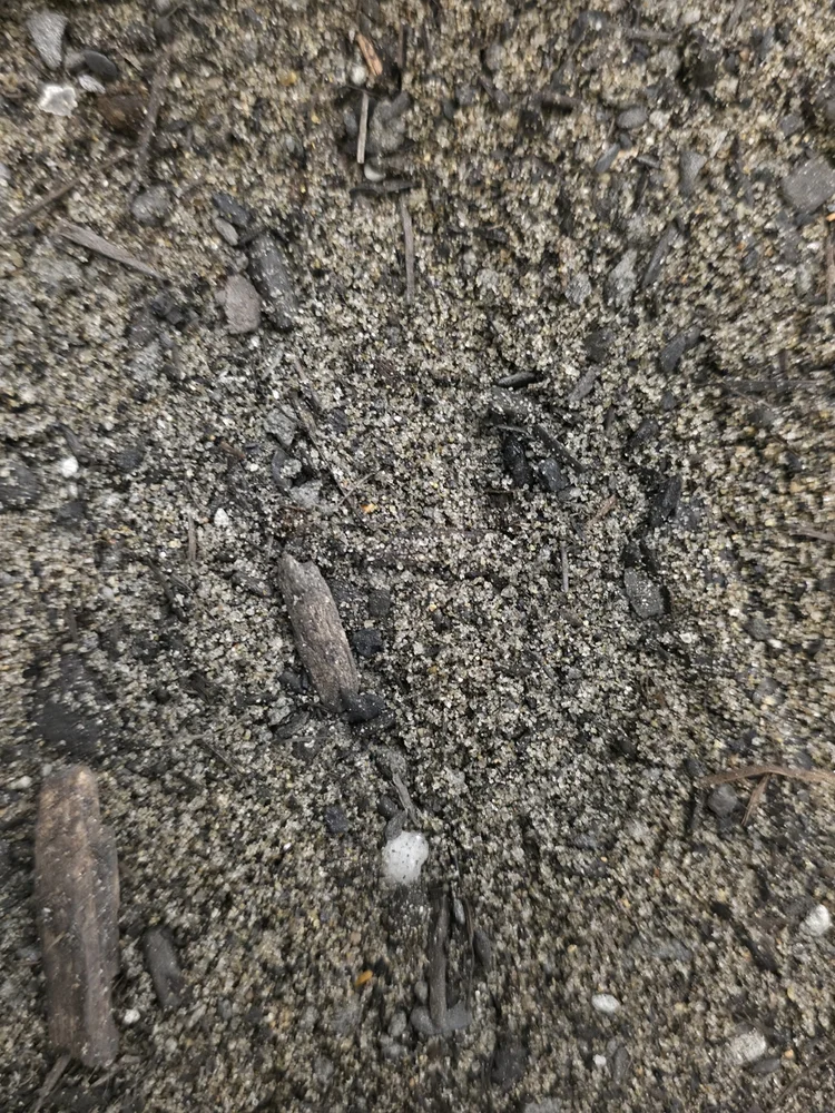 APSU Soil™ – Organic Biome-Based Soils