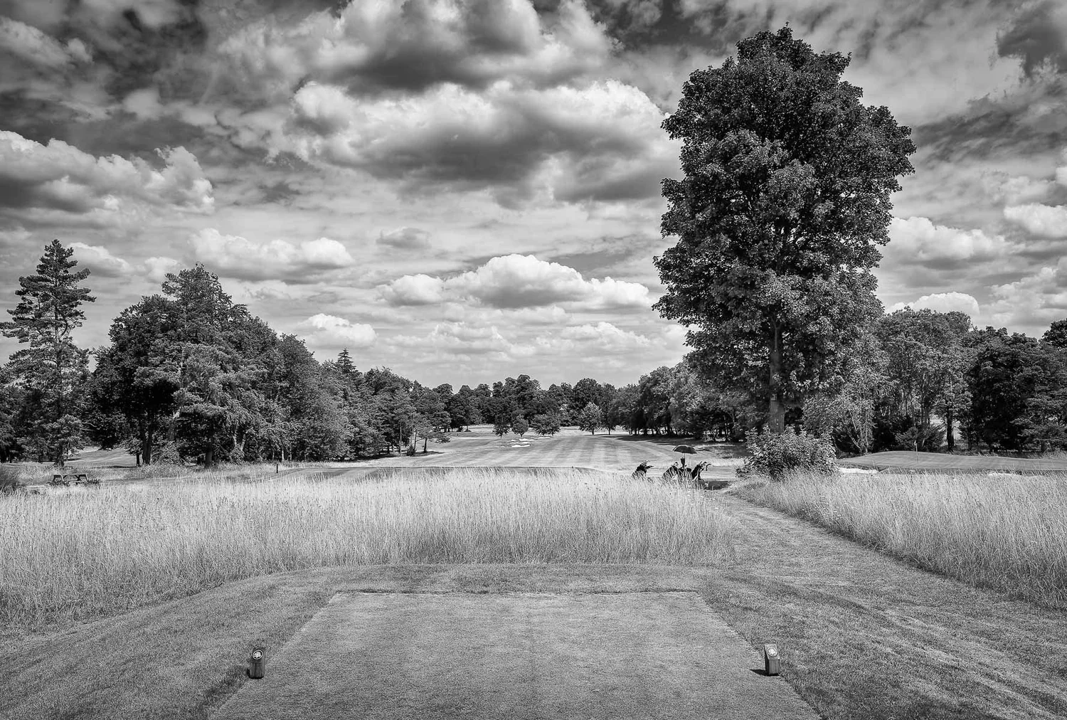 Harry Colt Design — >Effingham Golf Club