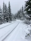 How to go off-roading in deep snow — Western Wild