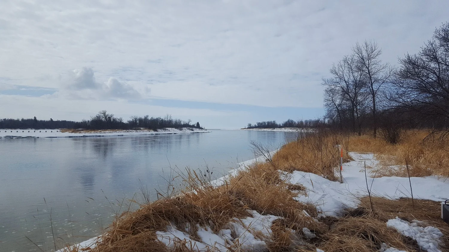 Services 4 — Lake Winnipeg Indigenous Collective