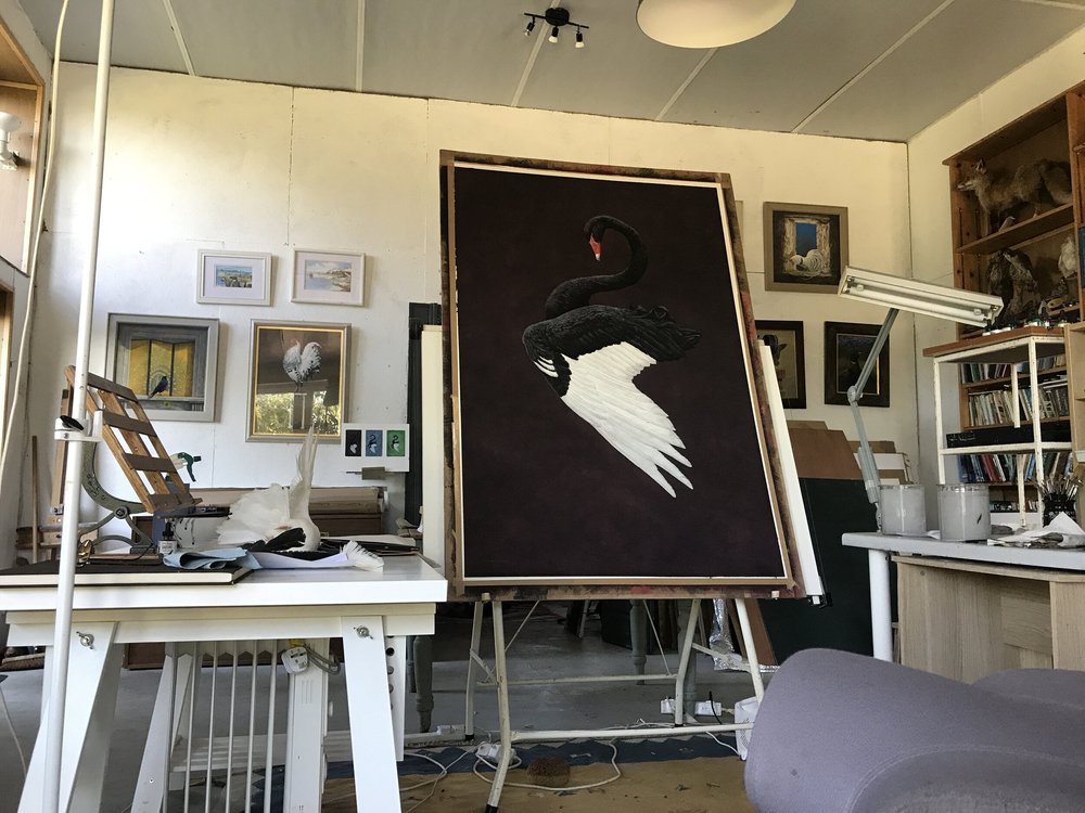 About — Tim Hayward Studio