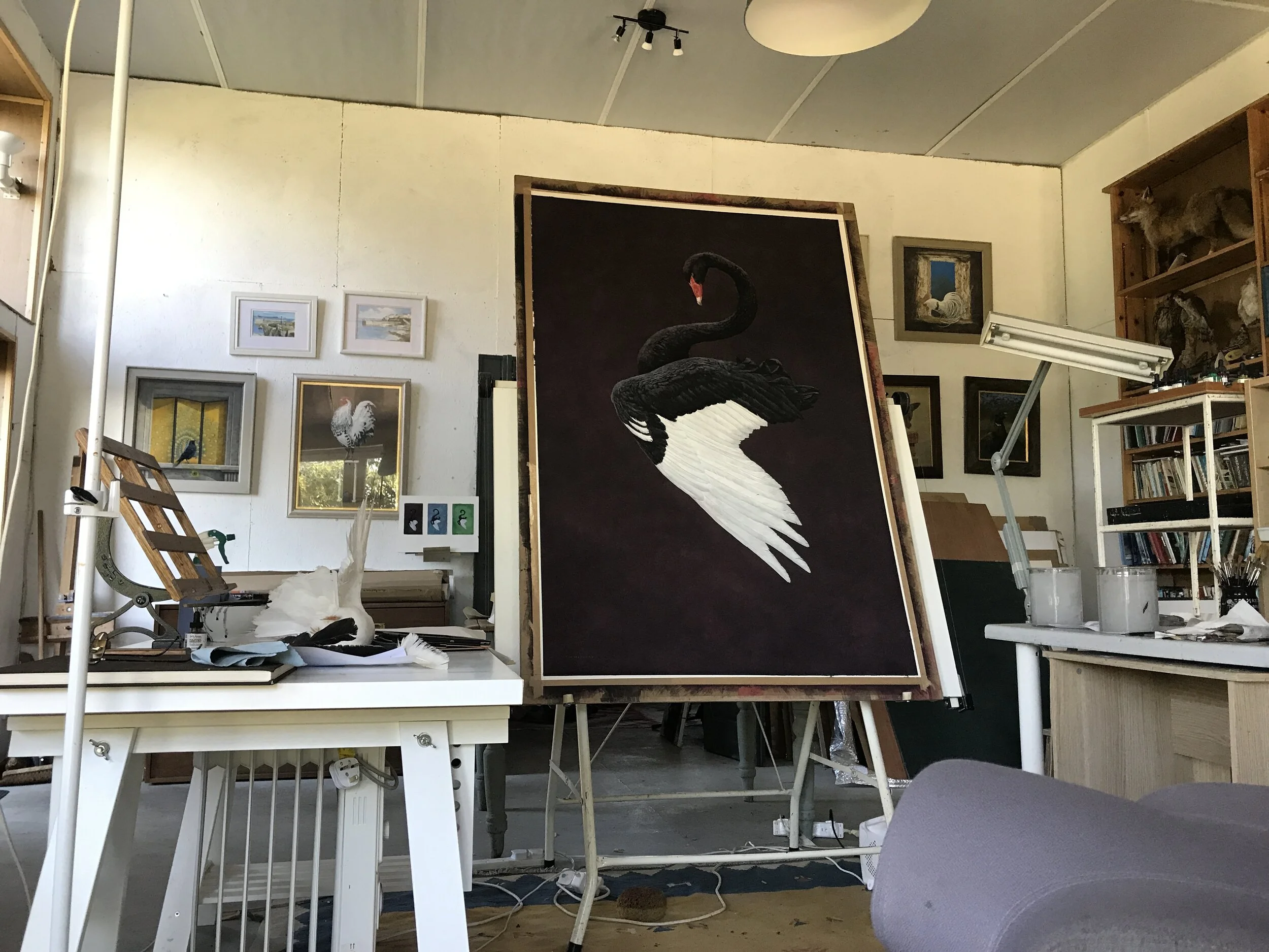 About — Tim Hayward Studio