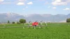 Gheen Irrigation Works, Inc.