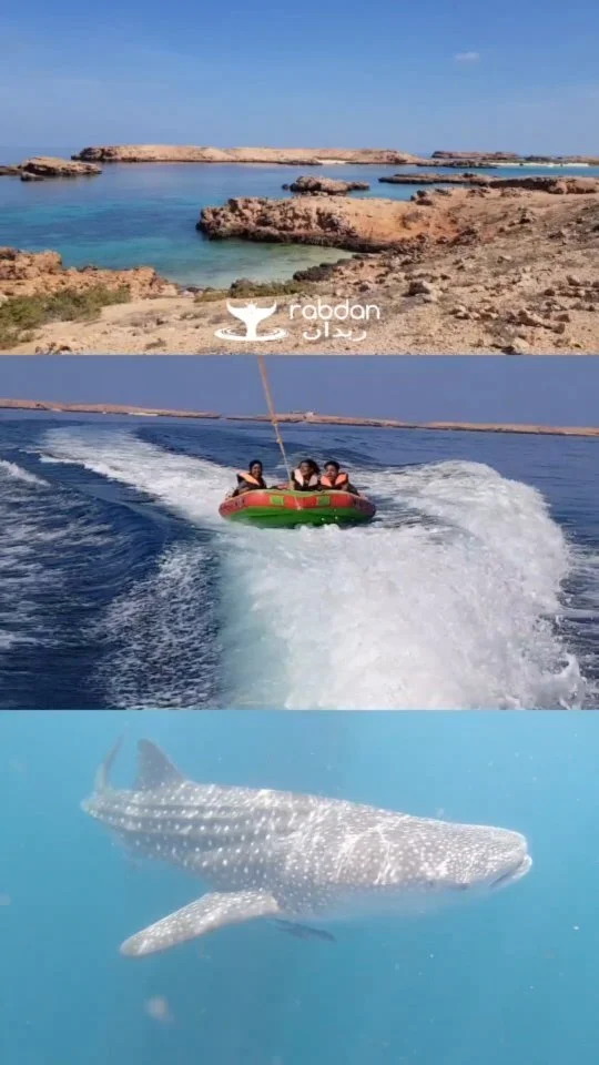 Dive Dimaniyat islands Diving |Dimaniyat Islands Snorkeling |Best ...
