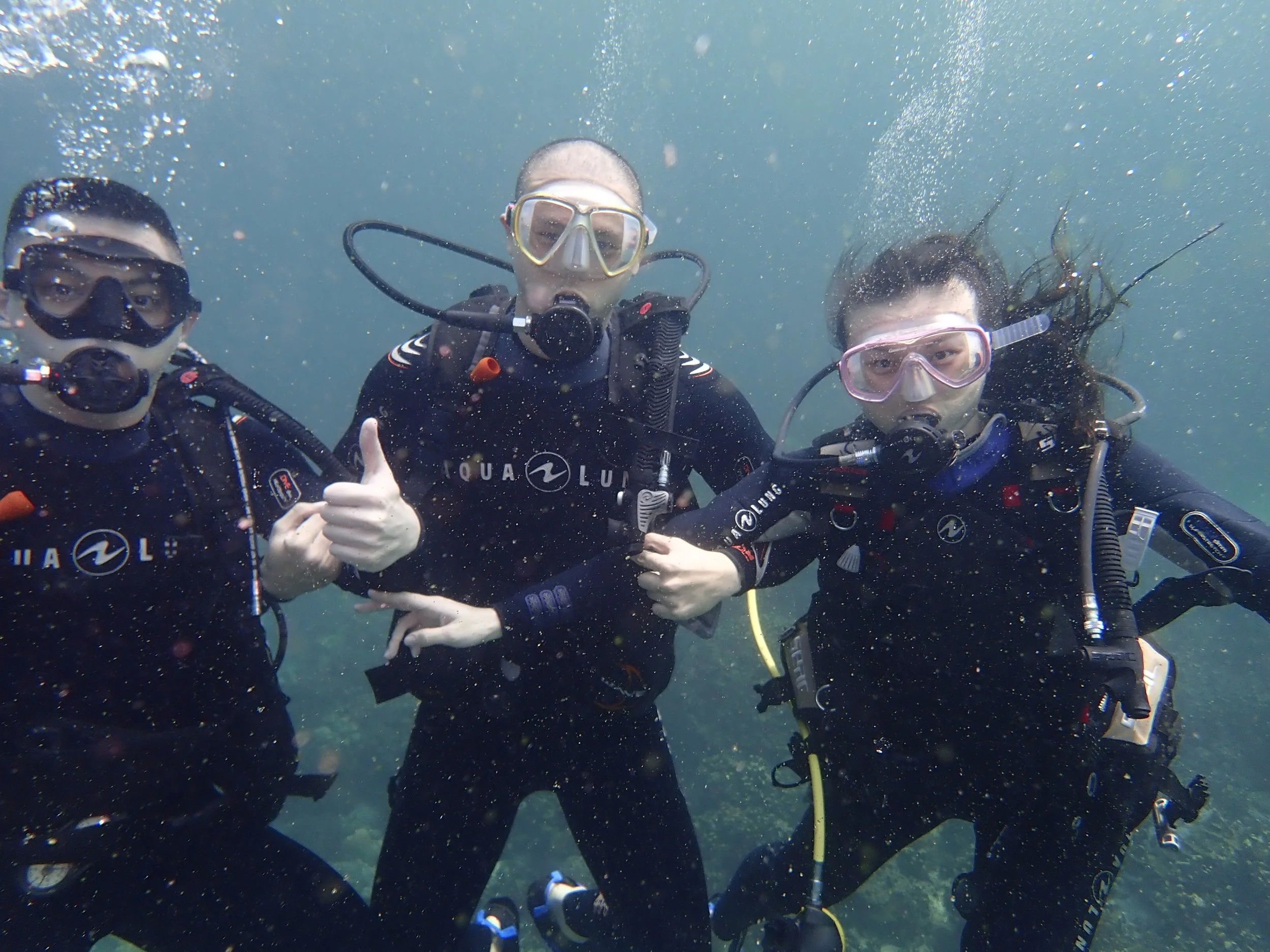 Dive Oman| Dimaniyat islands Snorkeling Trips |Scuba diving muscat ...