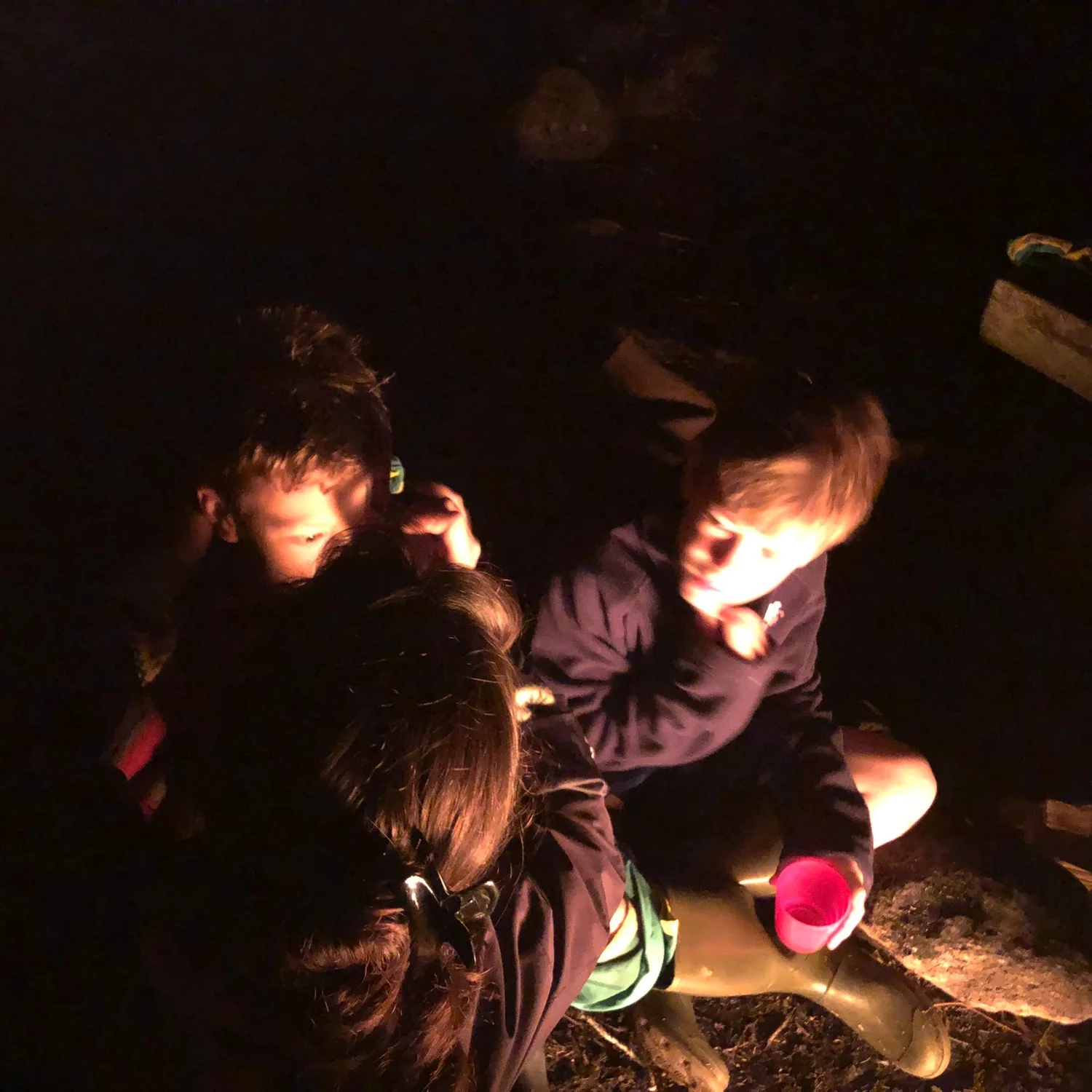 Wölfli — Pfadi Seppel