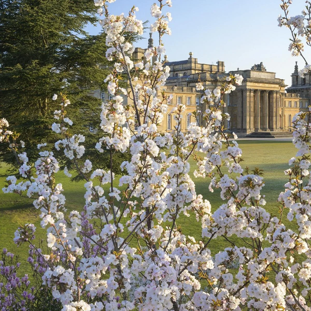 Blenheim - Palace, Park and Gardens — Ask William