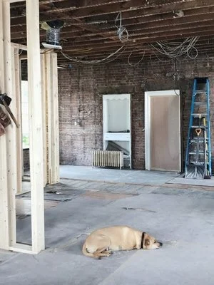 PROJECTS — Shapeless Studio