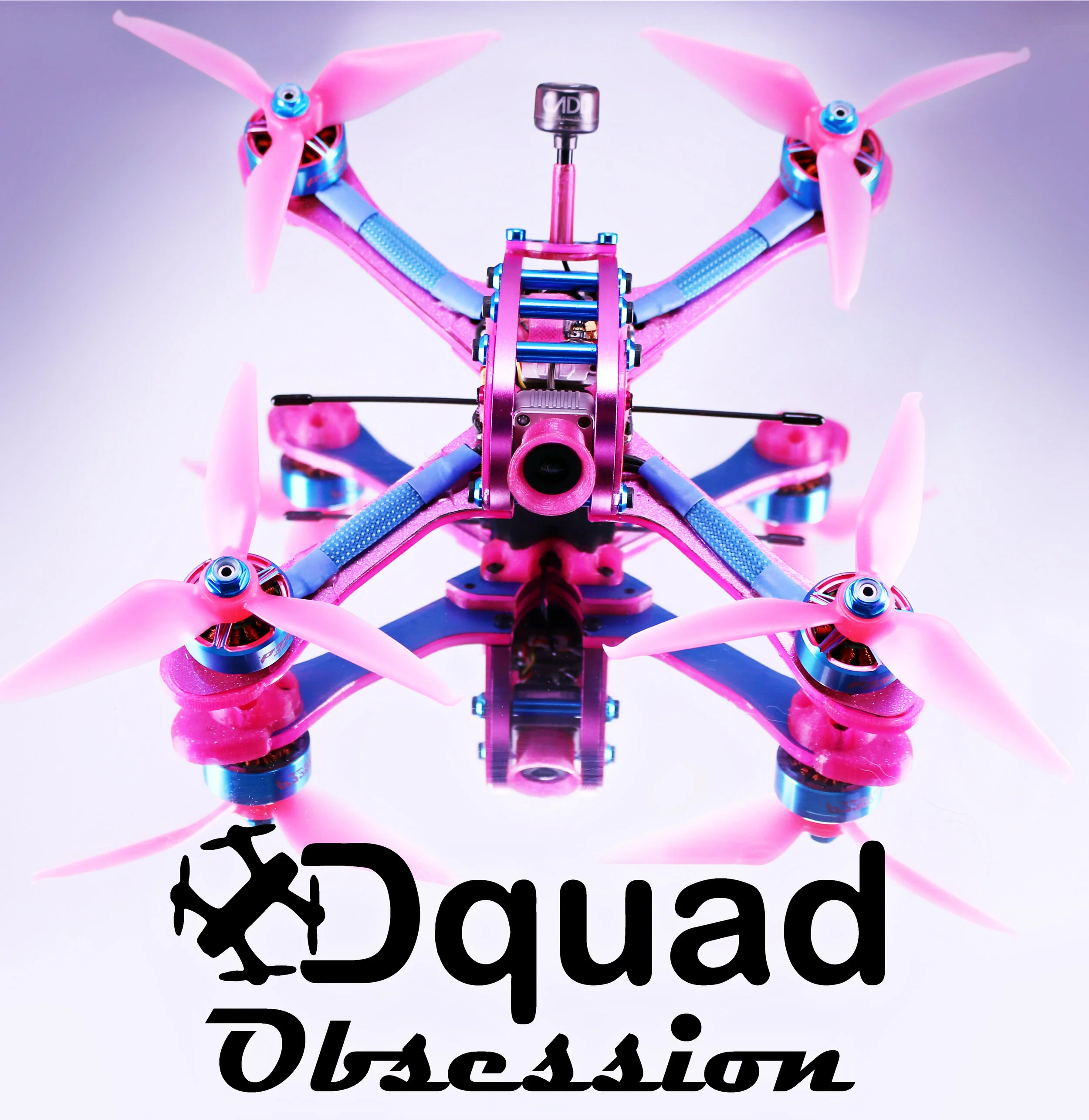 Gallery — Dquad