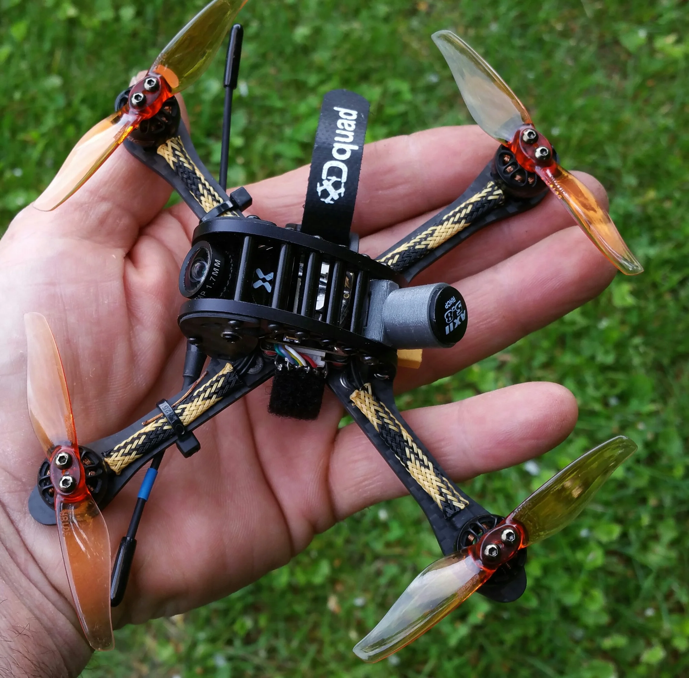 Micro Obsession — Dquad