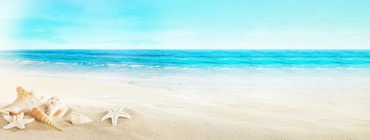 Shellseeker Beach Series — Hope Holloway