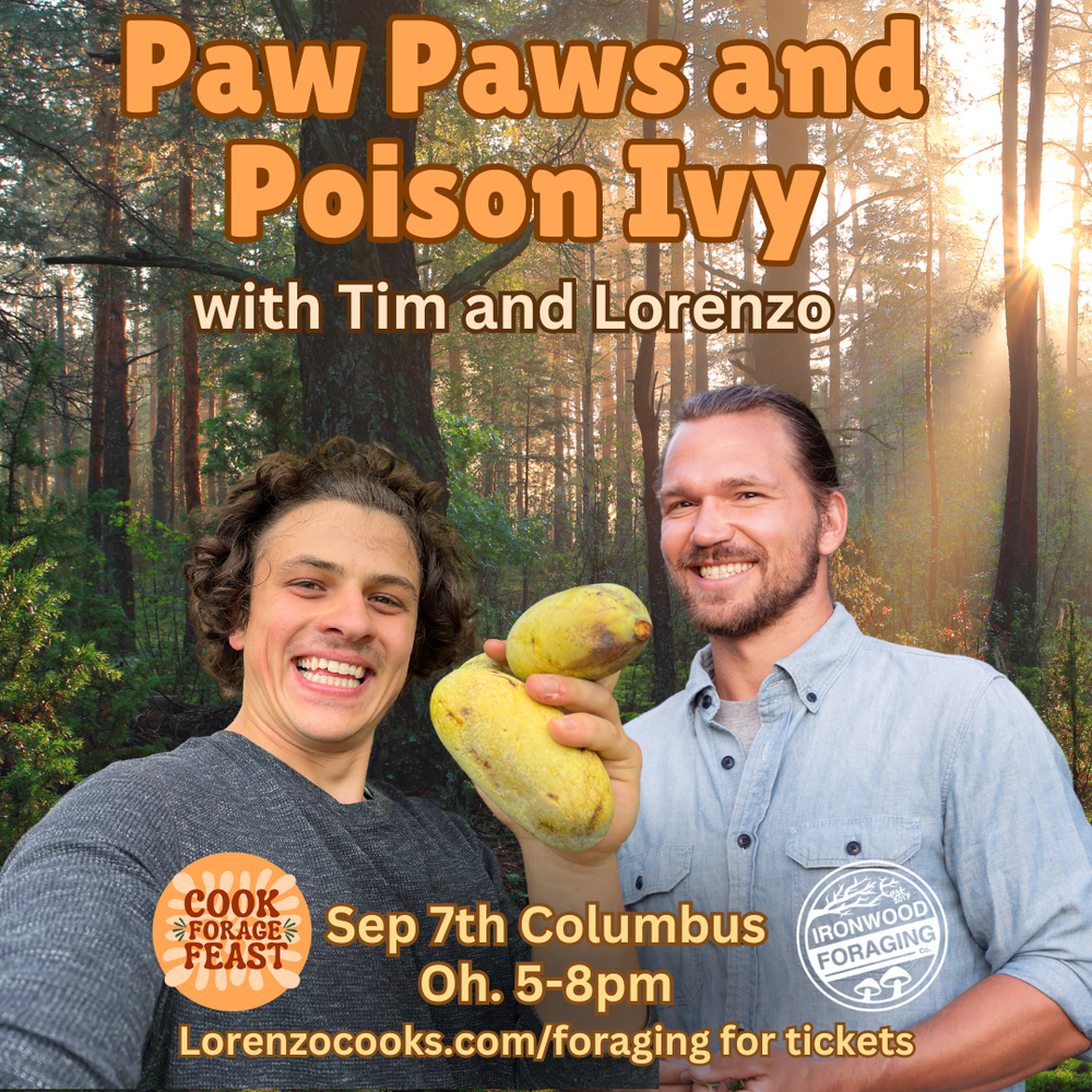 Columbus Ohio Foraging Classes, Foraged Dinners, Foraged Picnics and ...