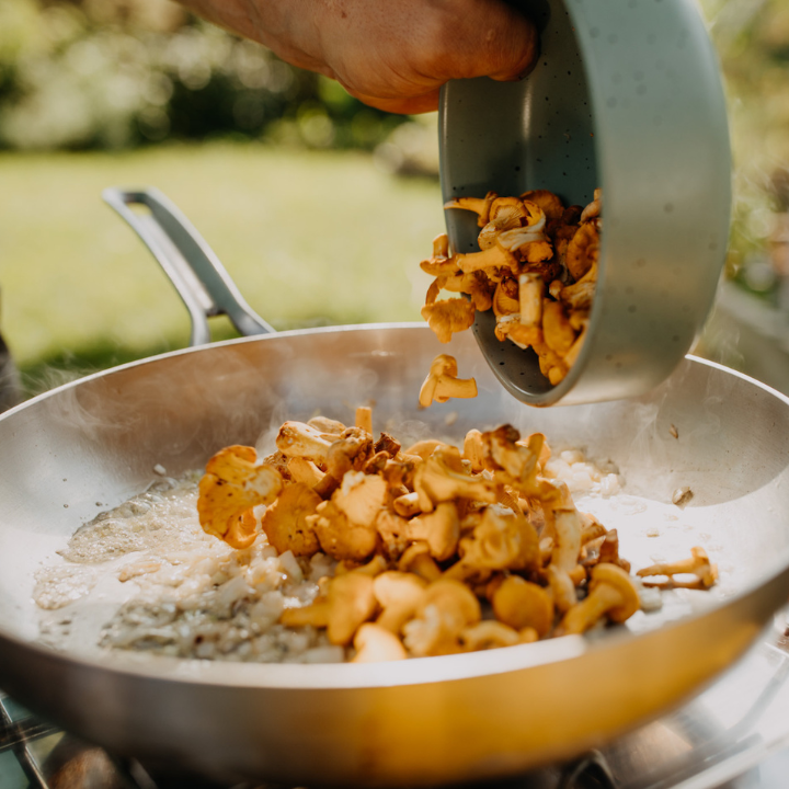 Columbus Ohio Foraging Classes, Foraged Dinners, Foraged Picnics and ...