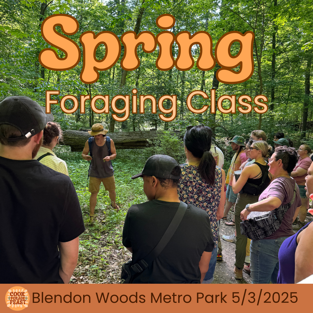 Columbus Ohio Foraging Classes, Foraged Dinners, Foraged Picnics and ...