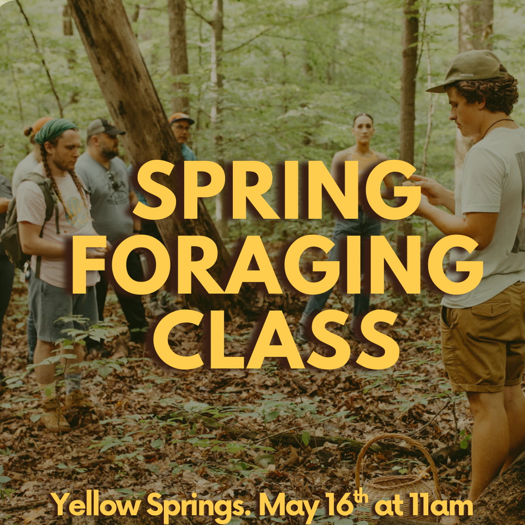 Columbus Ohio Foraging Classes, Foraged Dinners, Foraged Picnics and ...