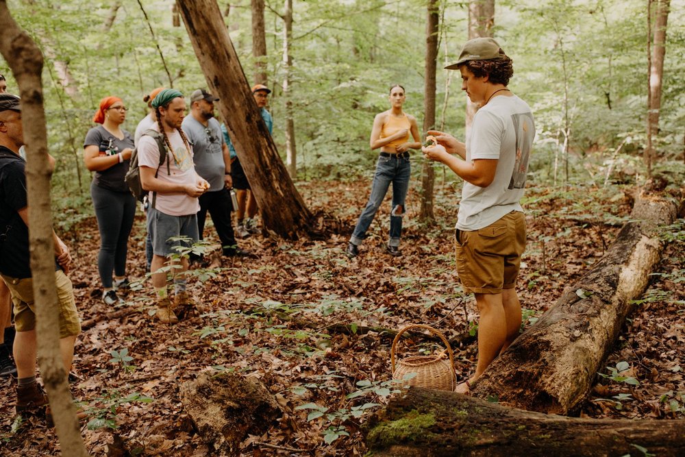 Columbus Ohio Foraging Classes, Foraged Dinners, Foraged Picnics and ...
