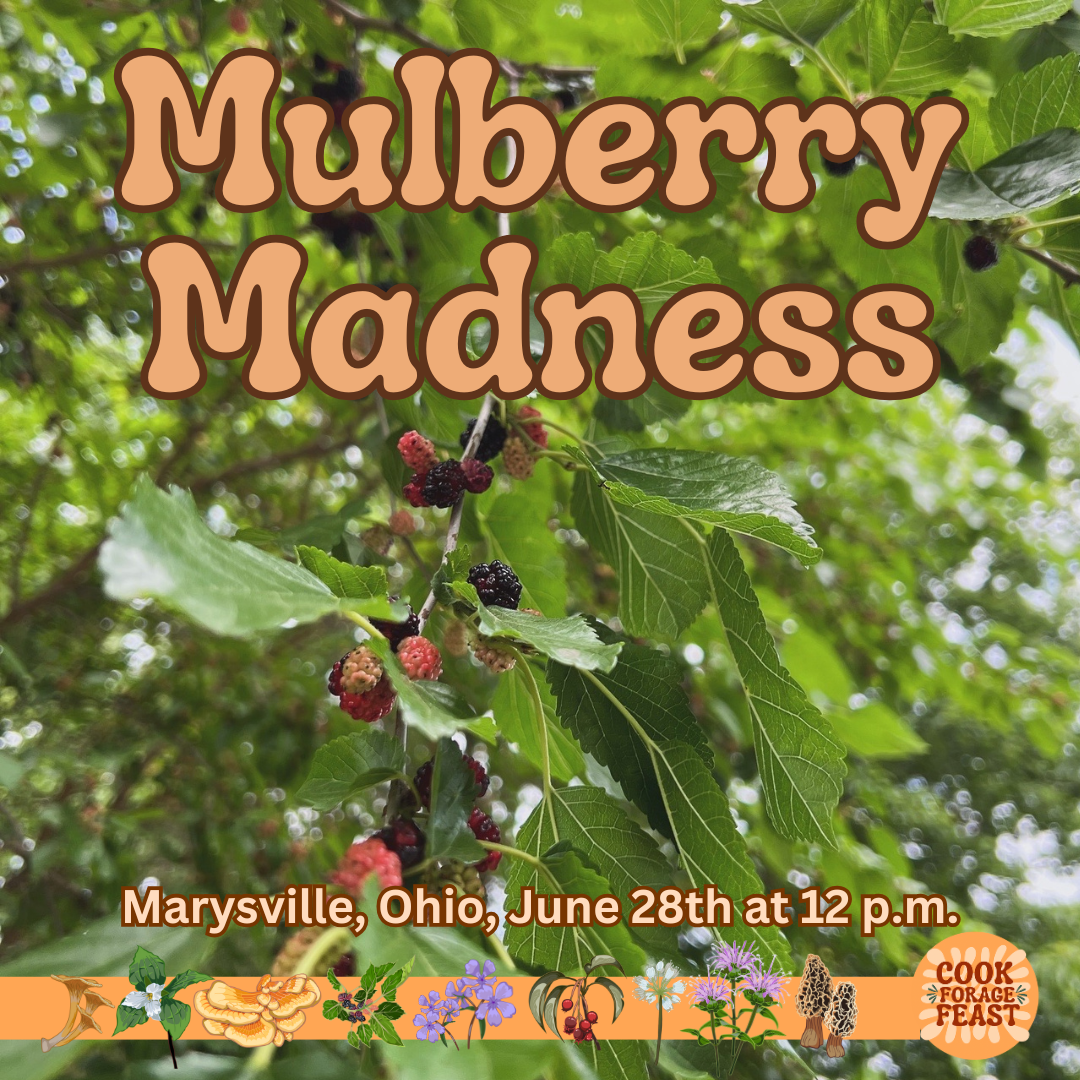 Columbus Ohio Foraging Classes, Foraged Dinners, Foraged Picnics and ...