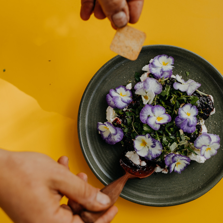 Columbus Ohio Foraging Classes, Foraged Dinners, Foraged Picnics and ...