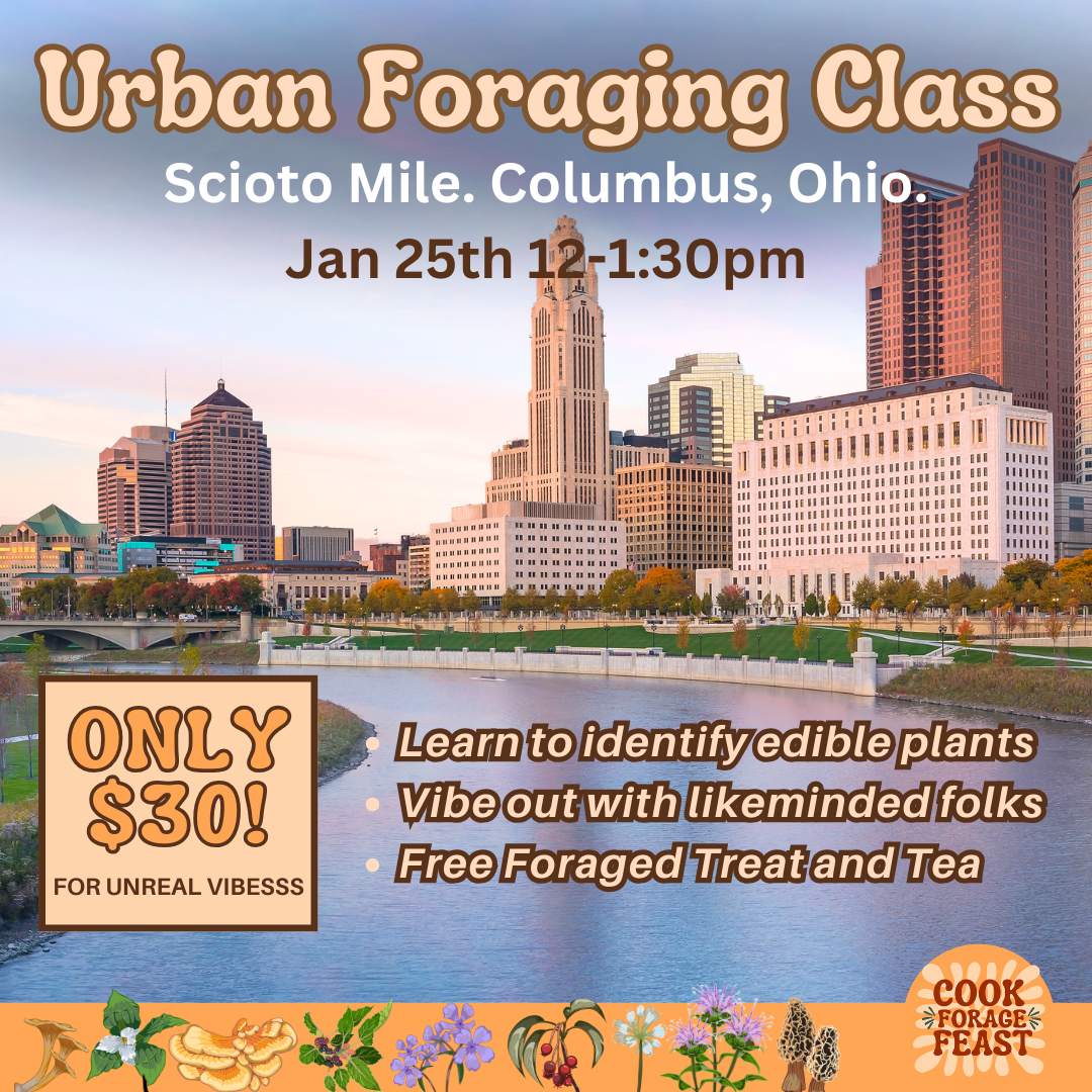 Columbus Ohio Foraging Classes, Foraged Dinners, Foraged Picnics and ...