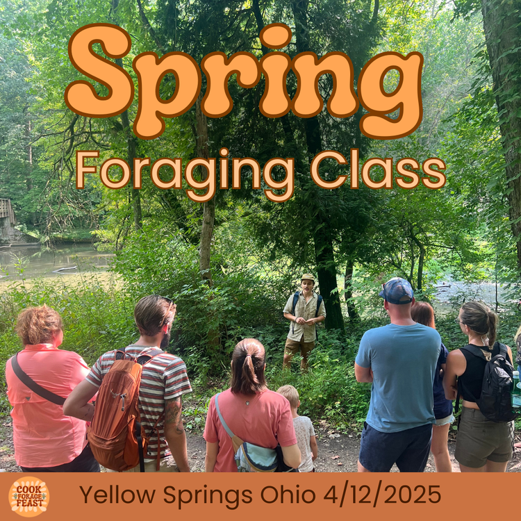 Columbus Ohio Foraging Classes, Foraged Dinners, Foraged Picnics and ...