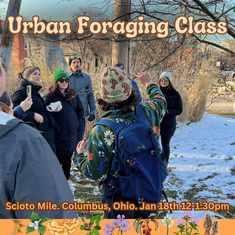 Columbus Ohio Foraging Classes, Foraged Dinners, Foraged Picnics and ...