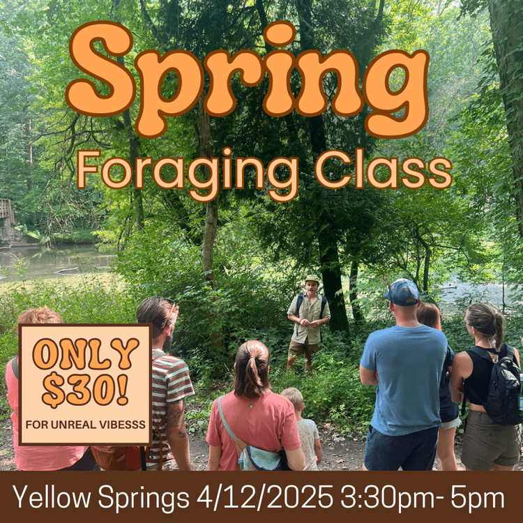 Columbus Ohio Foraging Classes, Foraged Dinners, Foraged Picnics and ...