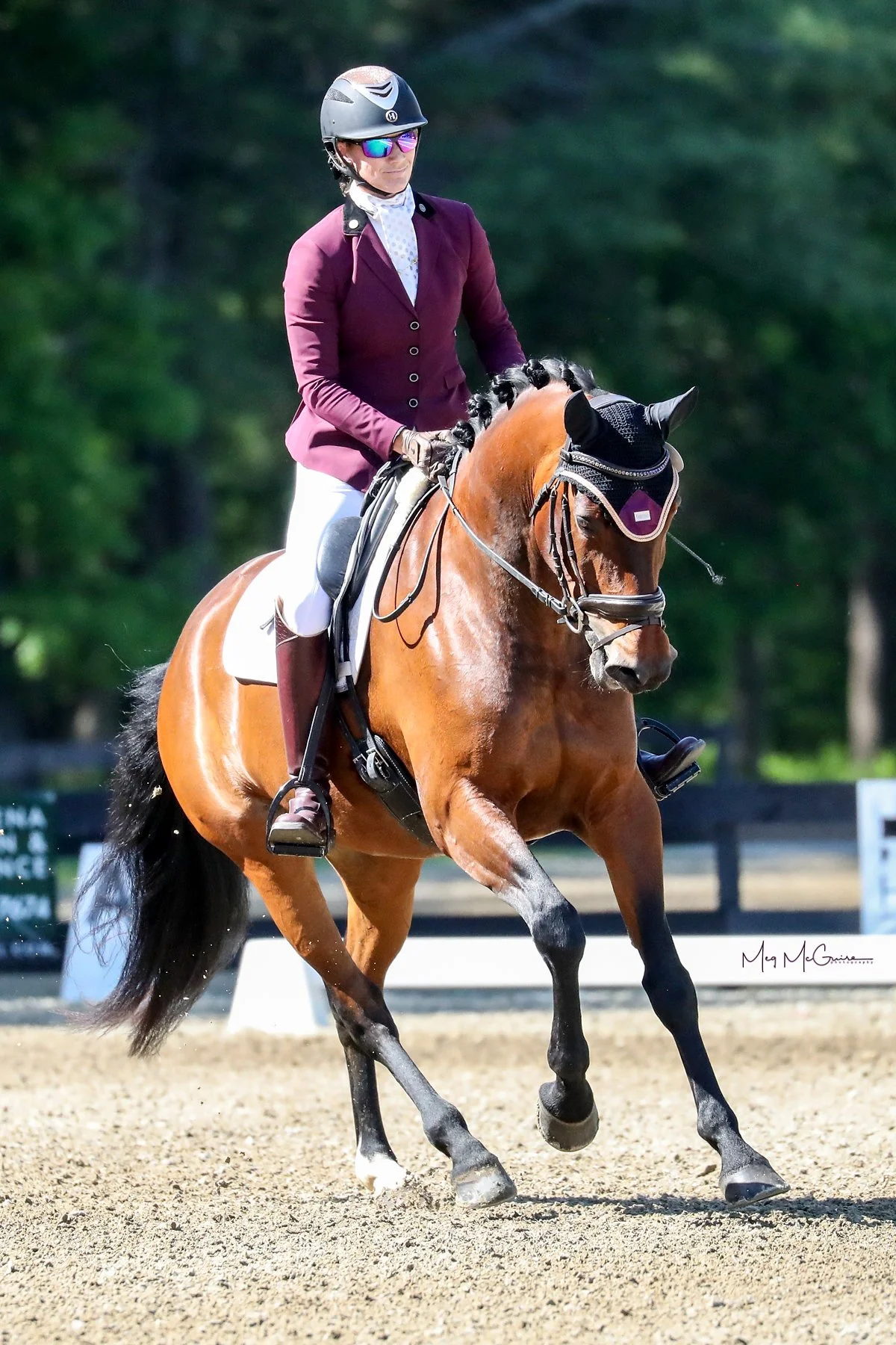 Horses For Sale — Meghan Hamilton Dressage