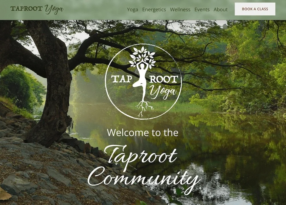 Taproot Yoga Chardon website design project in Chardon, Ohio — Golnar ...