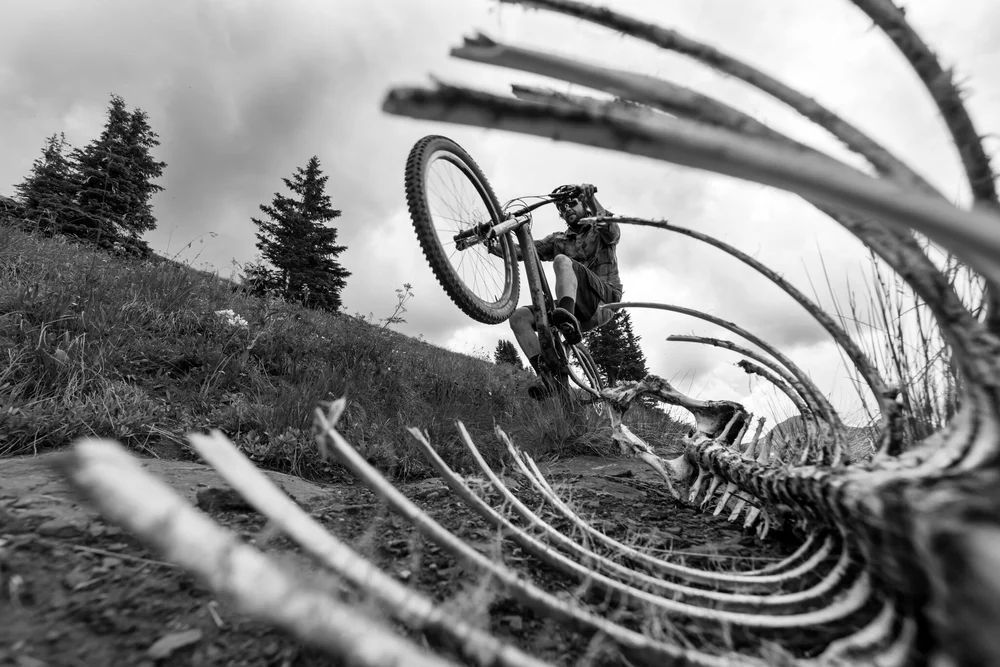 Durango Bike Project | Used Bikes, Coffee & Bike Repair in Durango, CO