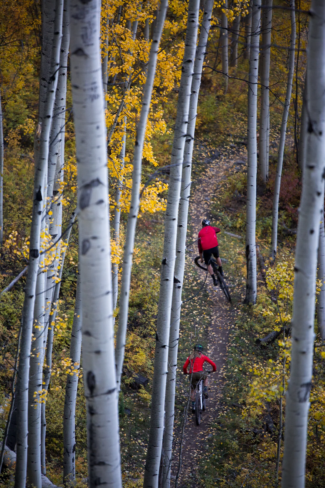 Durango Bike Project