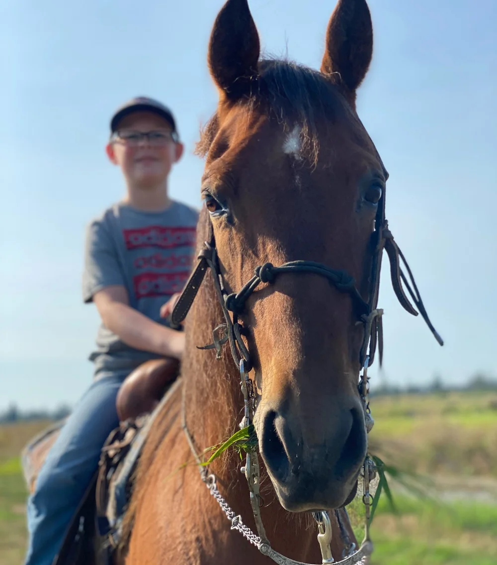 About — Luckie Farms