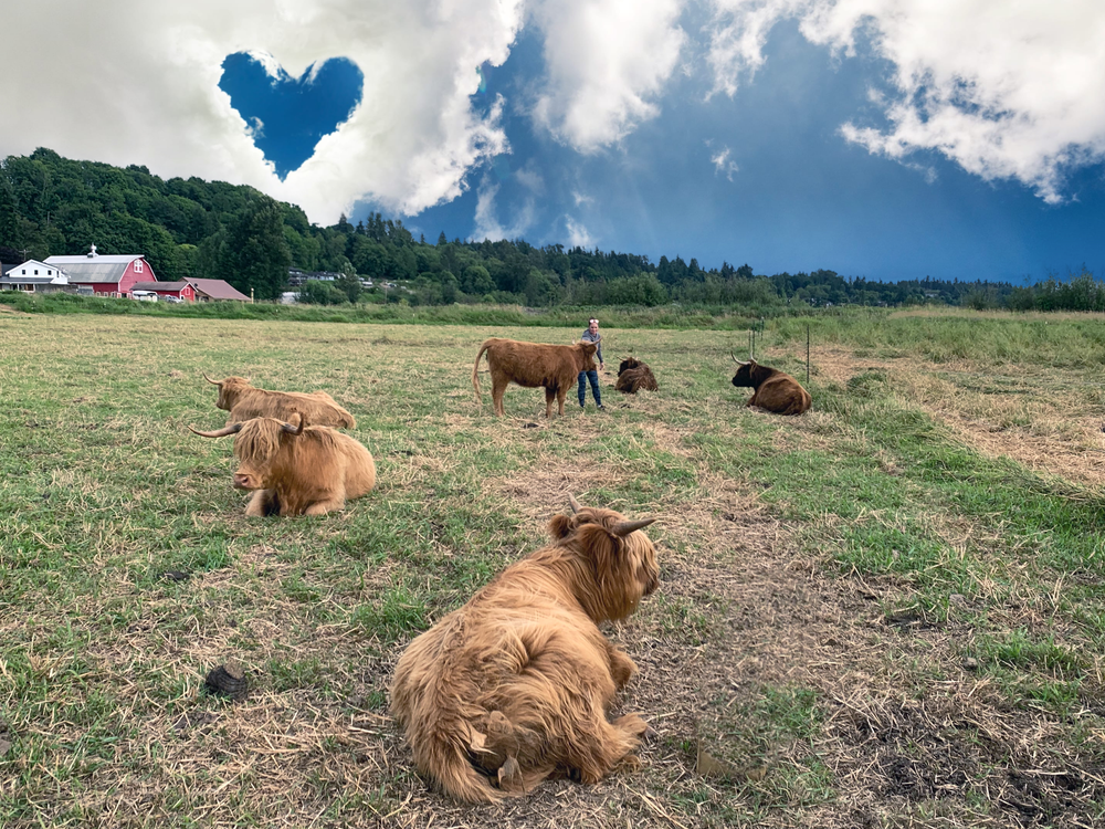 About — Luckie Farms