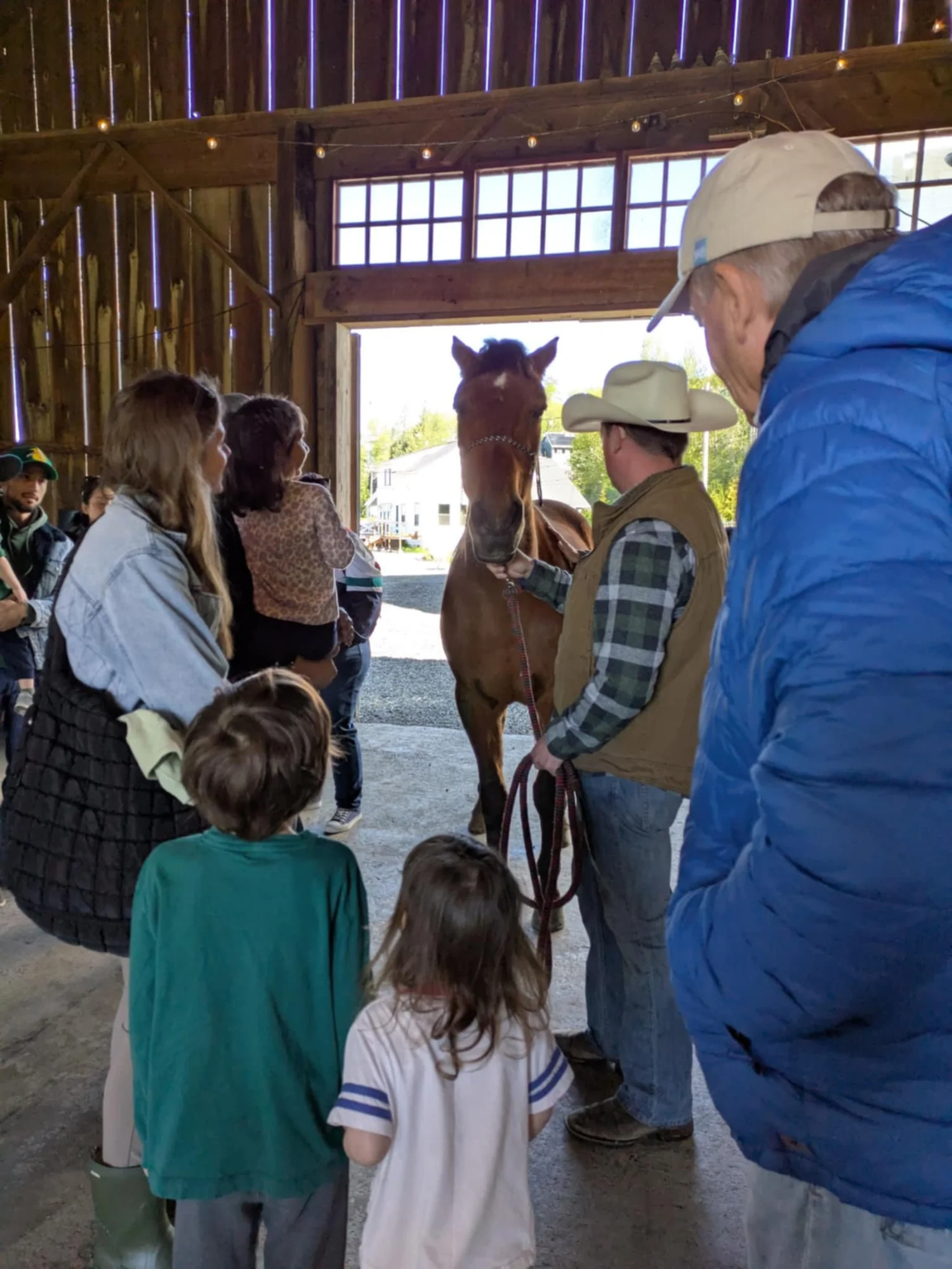 Family-friendly farm tours with Highland cows in Western Washington ...