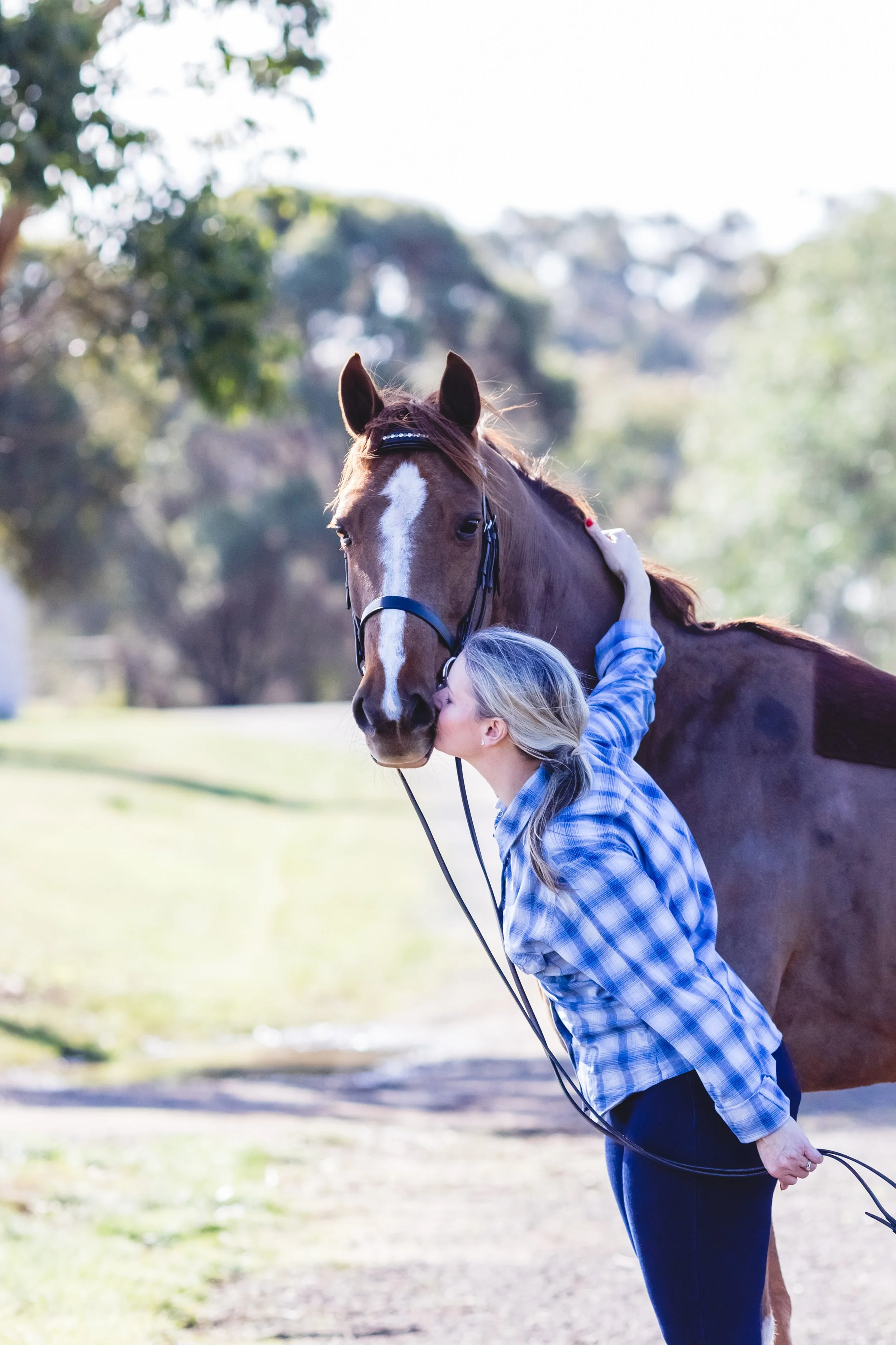 Journey Equestrian Journey Equestrian Photography