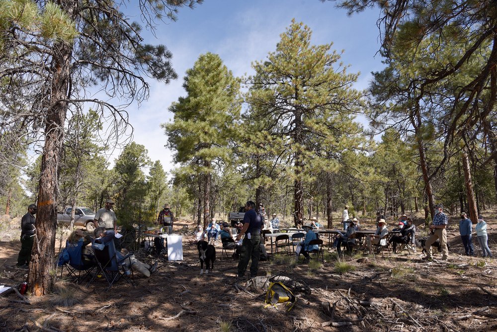 Taos County Wildfire Plaza