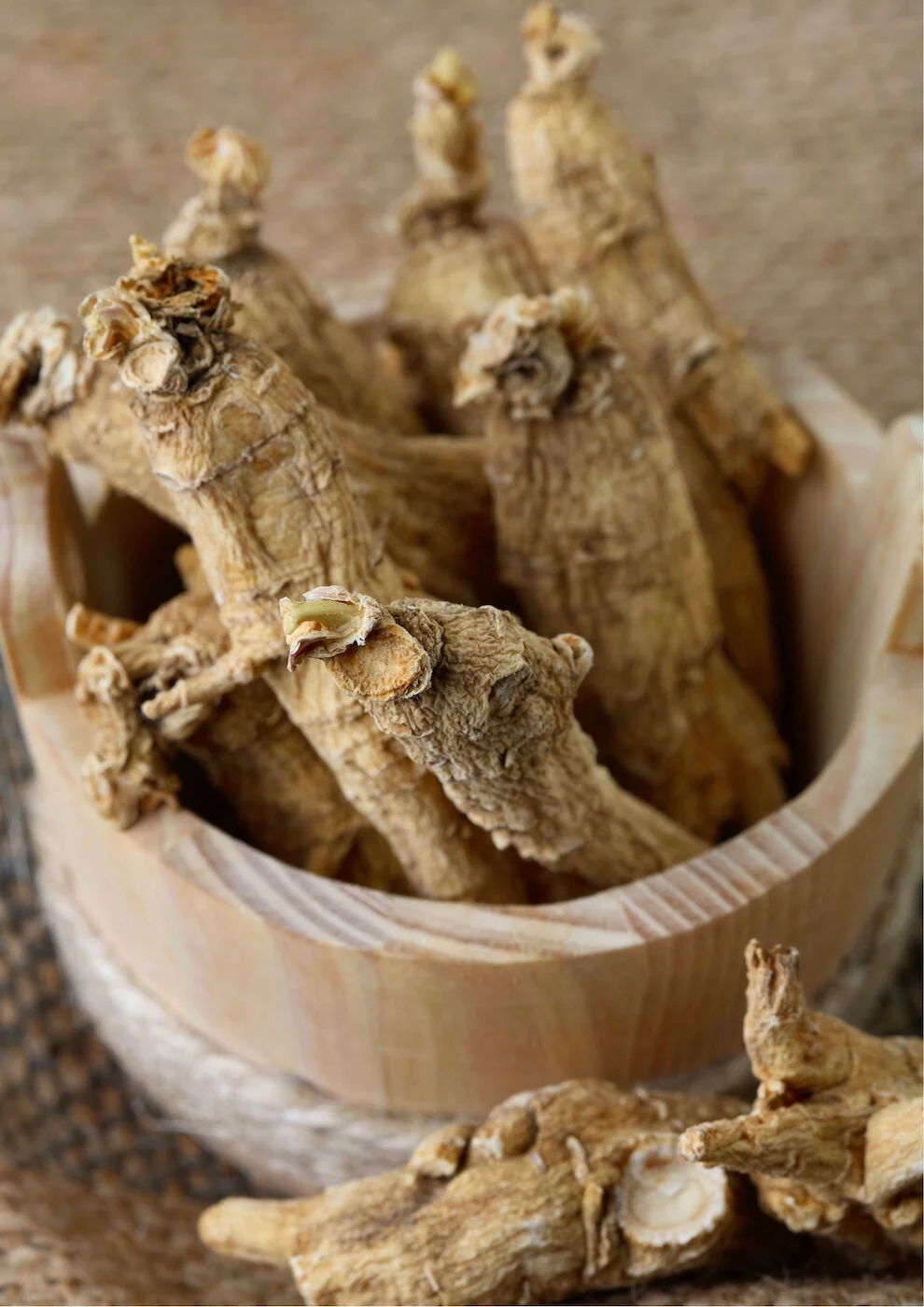 Reviva Canada Ginseng