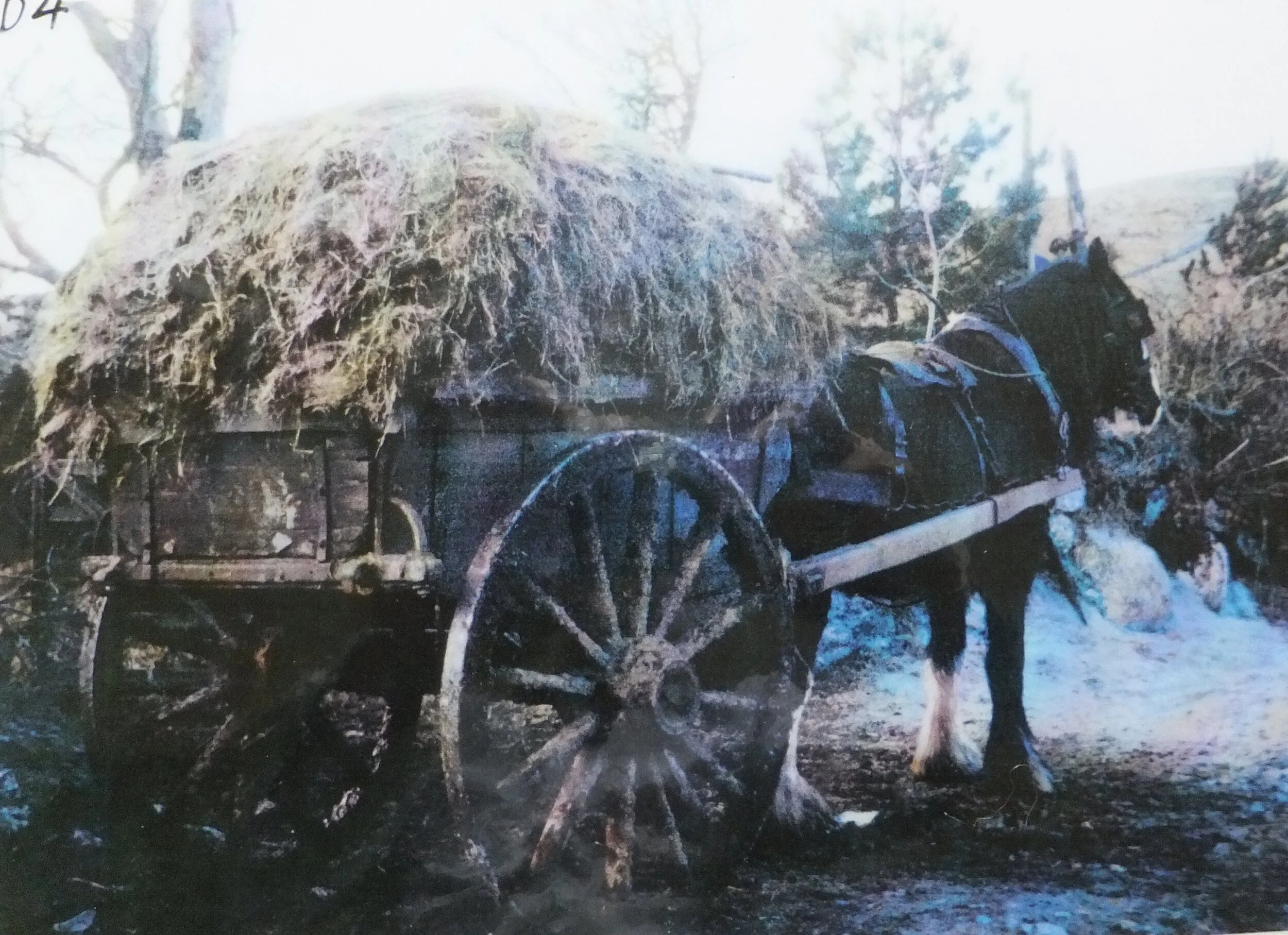 Yalland Vacuum Compressed Silage