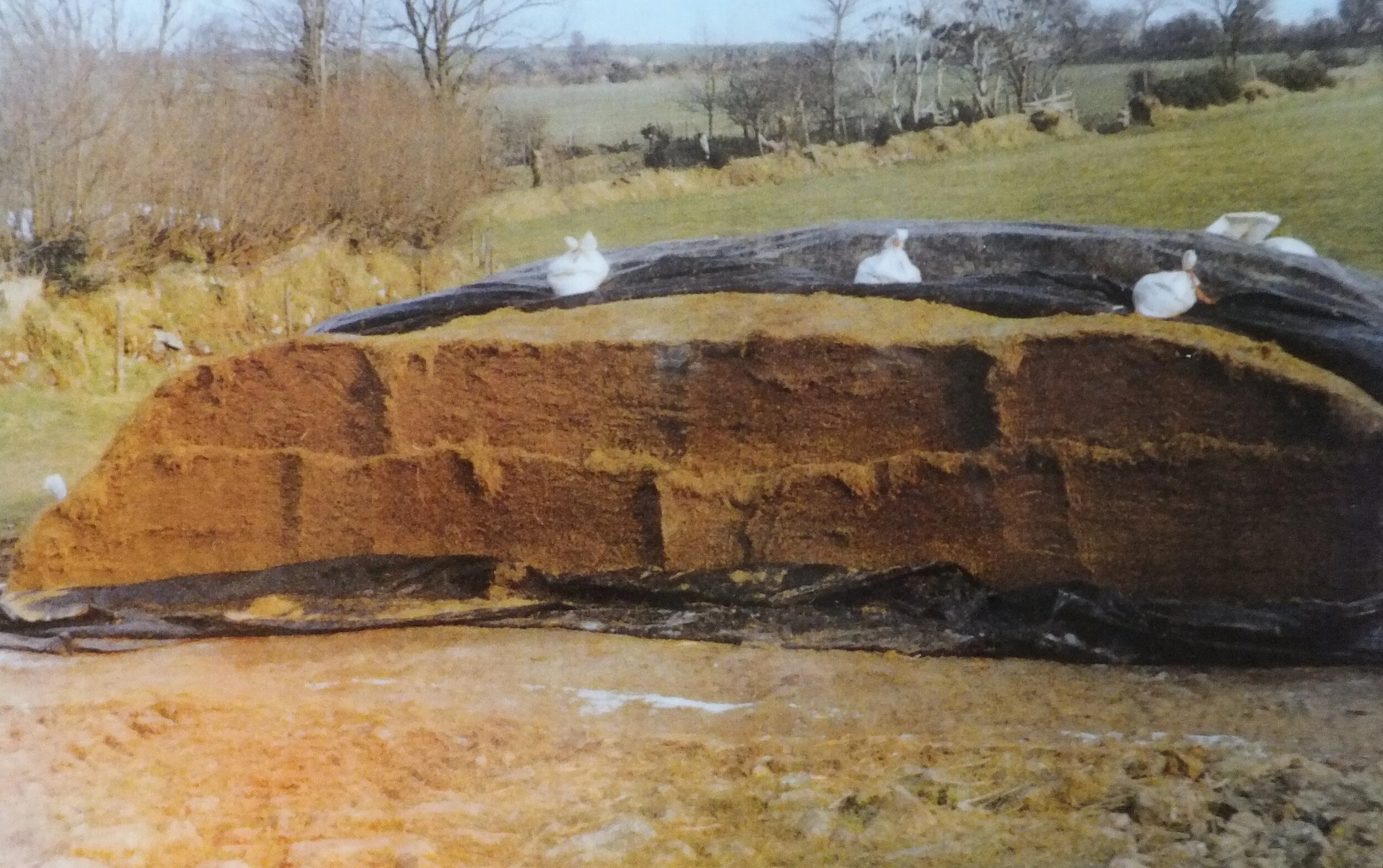 Yalland Vacuum Compressed Silage